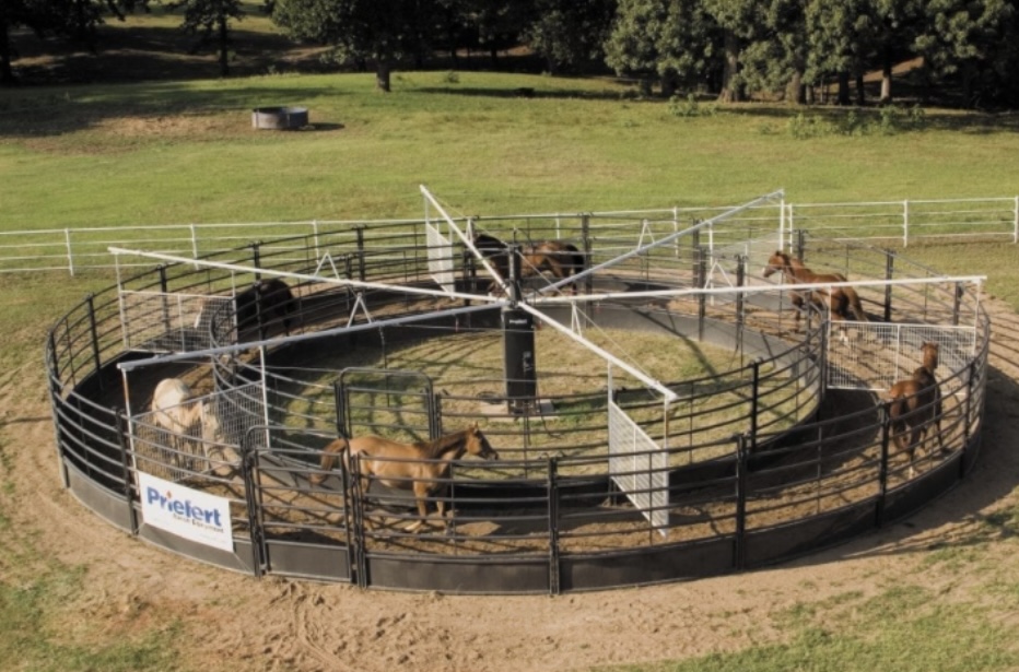 Services - Exceed Equine